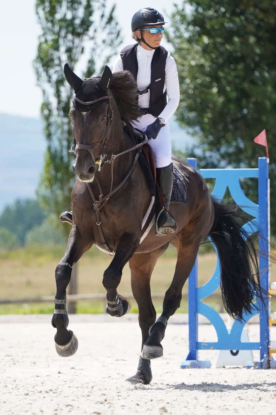 Emdogain - Clínica Dental Padrós